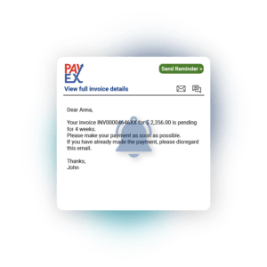 Global PayEX ERP Integration